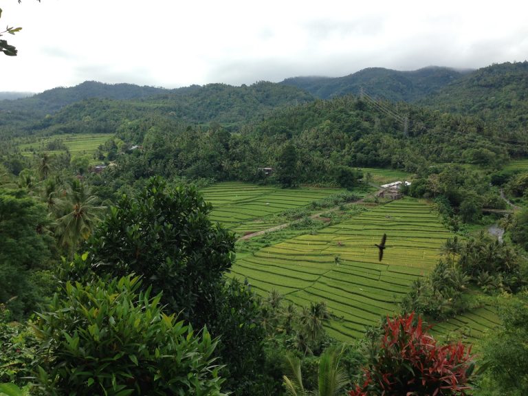 Bali Private Tour | Bali Private Driver | Bali Tour Package Kekeran ...